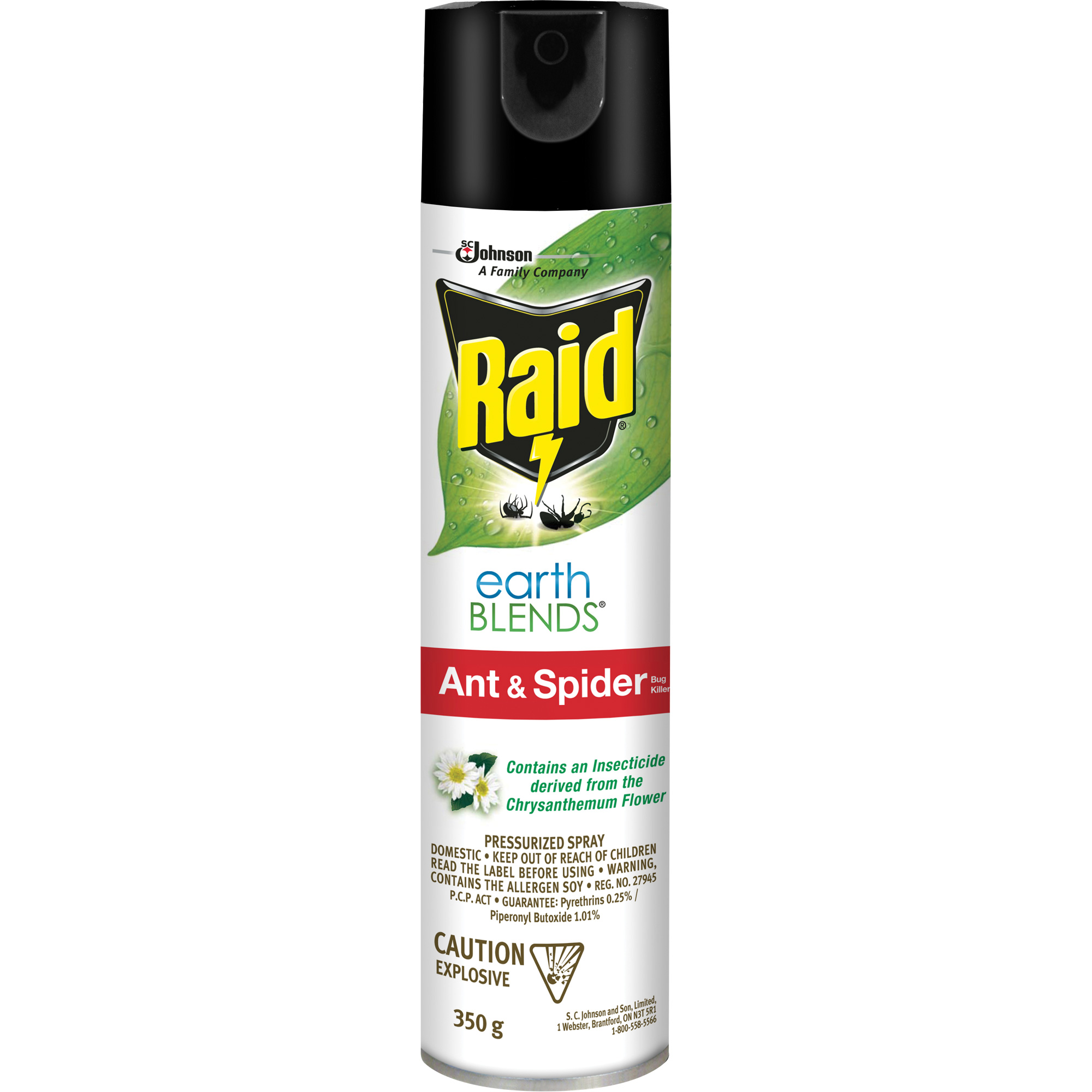 SC Johnson Raid® EarthBlends® Ant & Spider Bug Killer Insecticide, 350 ...